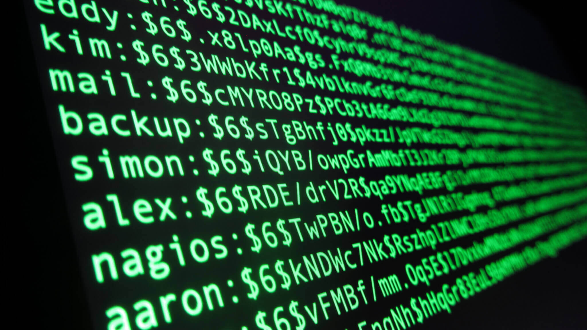 Der Sieger der Code Competition "Sicher ist sicher" - IT-Talents.de